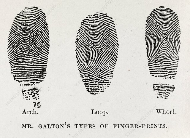 Major Events in Forensic Science. timeline | Timetoast timelines