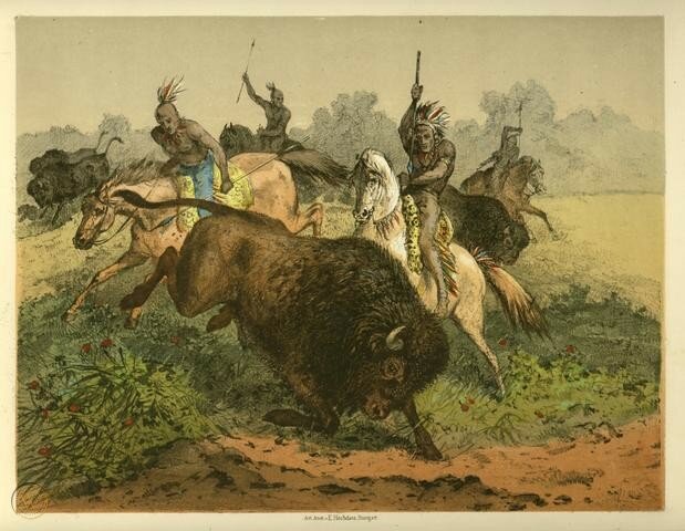 Native American Wars timeline | Timetoast timelines