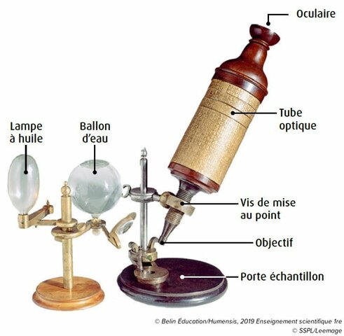 frise chronologique sur les microscopes timeline | Timetoast timelines