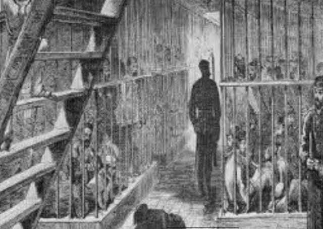 Religion 1788-1850 timeline | Timetoast timelines