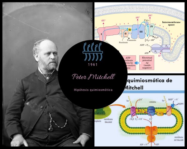 Avances en la historia de la Biología durante la segunda mitad del