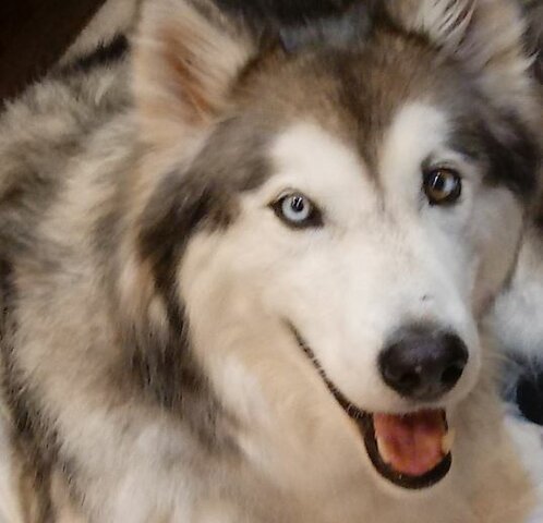 American Revolution Illustrated Time-Line timeline | Timetoast