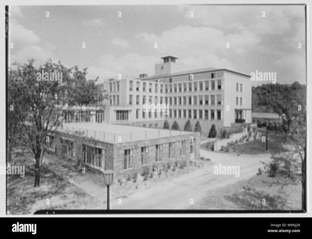 Antecedentes de la Ergonomia timeline | Timetoast timelines