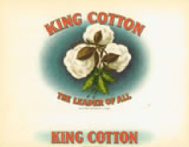 Cotton, Slavery and the South 1790's - 1850's timeline | Timetoast