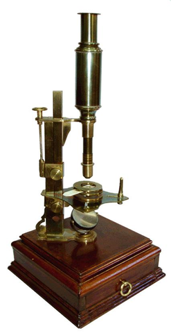 Evolución del microscopio timeline | Timetoast timelines