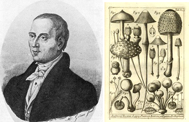 Historia de la fitopatología timeline | Timetoast timelines