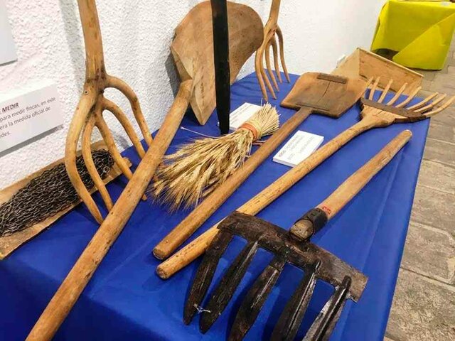 prehistòria timeline | Timetoast timelines