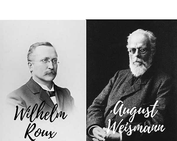 LÍNEA DEL TIEMPO DE LA BIOLOGÍA DEL DESARROLLO timeline | Timetoast