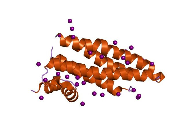 History of enzymes timeline | Timetoast timelines