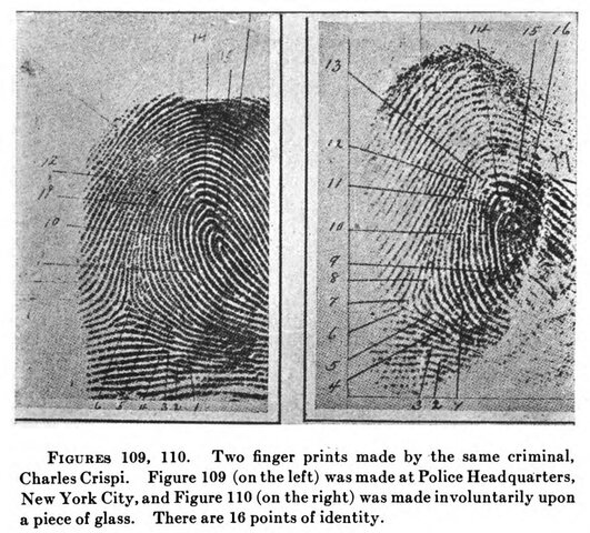 Fingerprint Timeline | Timetoast timelines