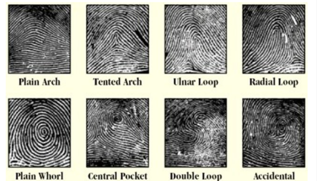 Fingerprints timeline | Timetoast timelines