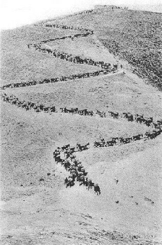 THE RIF WAR. timeline | Timetoast timelines