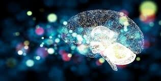 HISTORIA DE LA NEUROCIENCIA timeline | Timetoast timelines