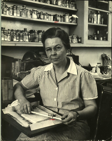 Personajes que aportaron a la tecnología timeline | Timetoast