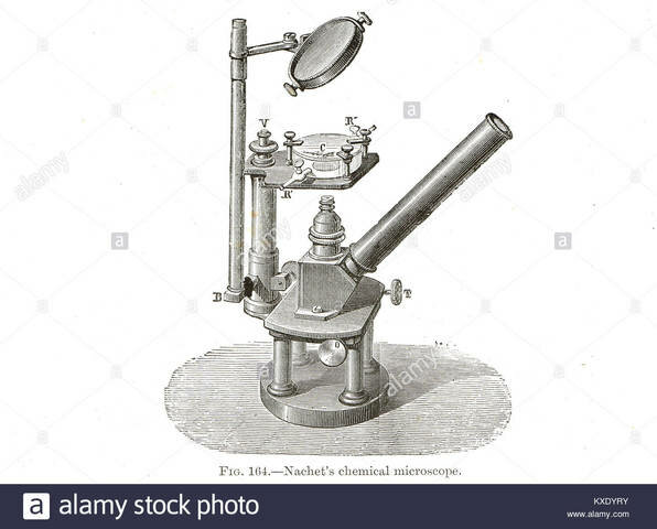 HISTORIA DEL MICROSCOPIO timeline | Timetoast timelines