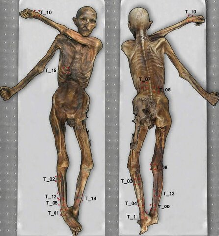 Otzi, The Iceman timeline | Timetoast timelines