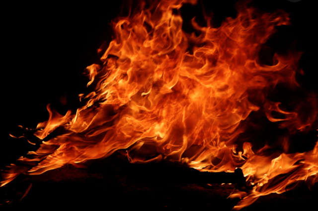 Human Evolution timeline | Timetoast timelines