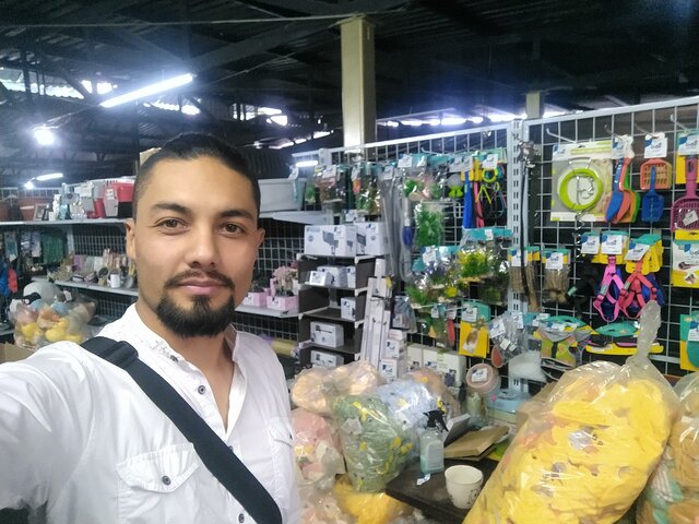 Microsoft Windows timeline | Timetoast timelines