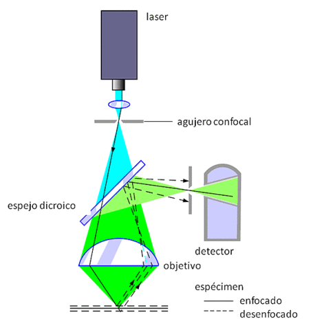 Línea del tiempo: MICROSCOPIO timeline | Timetoast timelines