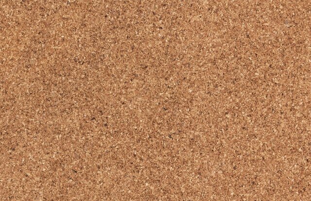 Microscopia timeline | Timetoast timelines