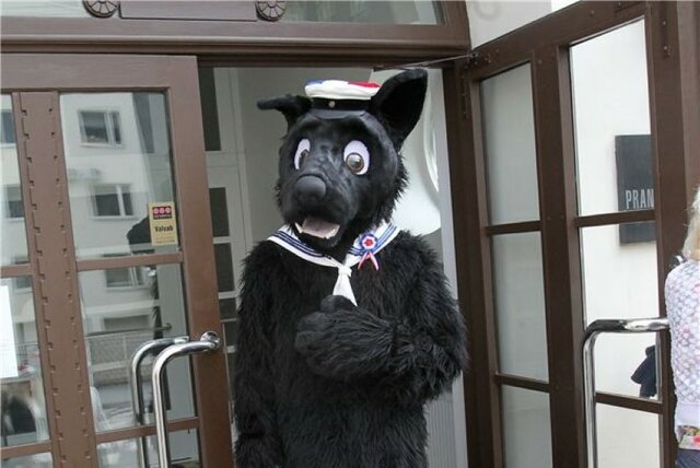 TPLi ajalugu Eesti iseseisvumise taustal timeline | Timetoast