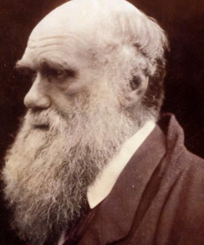 Charles Darwin Born:1809 Died: 1882 Known for the published book