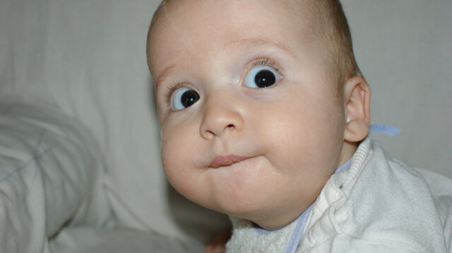 La meba bida timeline | Timetoast timelines