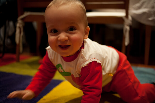 La meba bida timeline | Timetoast timelines