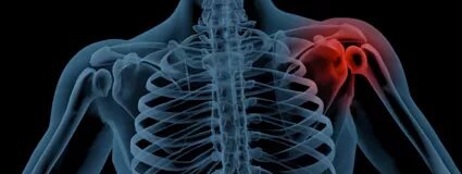 La meba bida timeline | Timetoast timelines