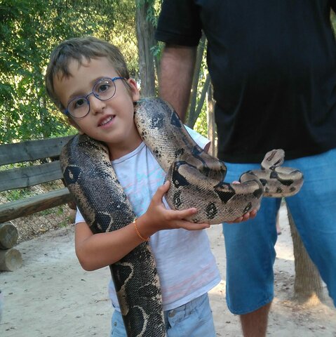 La meba bida timeline | Timetoast timelines