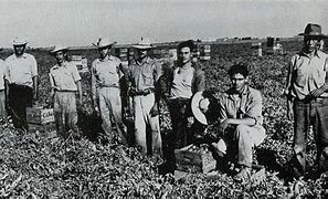 PROCESO HISTÓRICO DE LA MIGRACIÓN MÉXICO / ESTADOS UNIDOS timeline | T