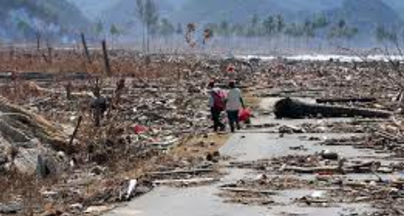 Deadly Tsunamis Surya Saravanan timeline | Timetoast timelines