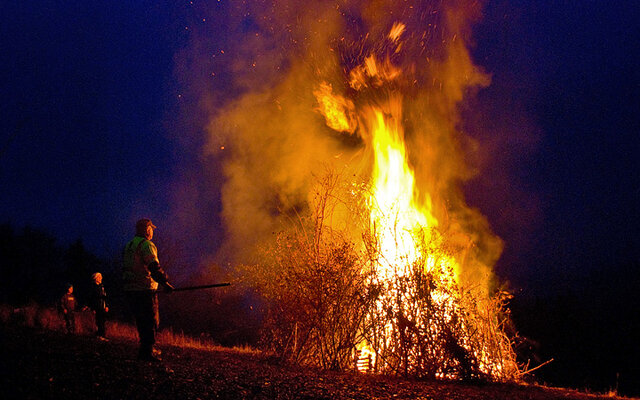 Kommunikation Mejja timeline | Timetoast timelines