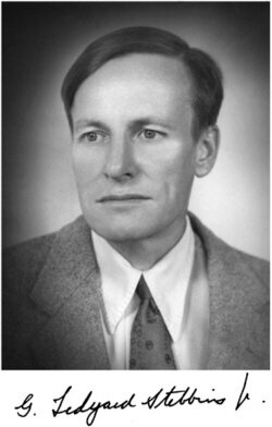 Posturas de la evolución timeline | Timetoast timelines