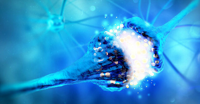 Historia de la Neurociencia timeline | Timetoast timelines