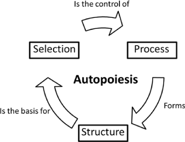 teoria general del sistema timeline | Timetoast timelines