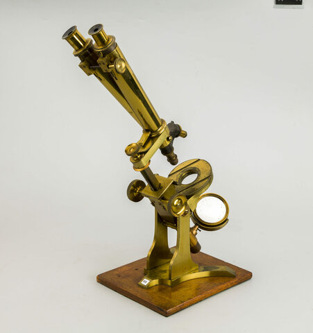 Historia de la Microscopía timeline | Timetoast timelines