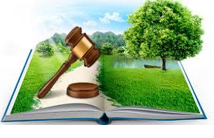 Antecedentes relevantes de la Ley General del Equilibrio Ecológico y