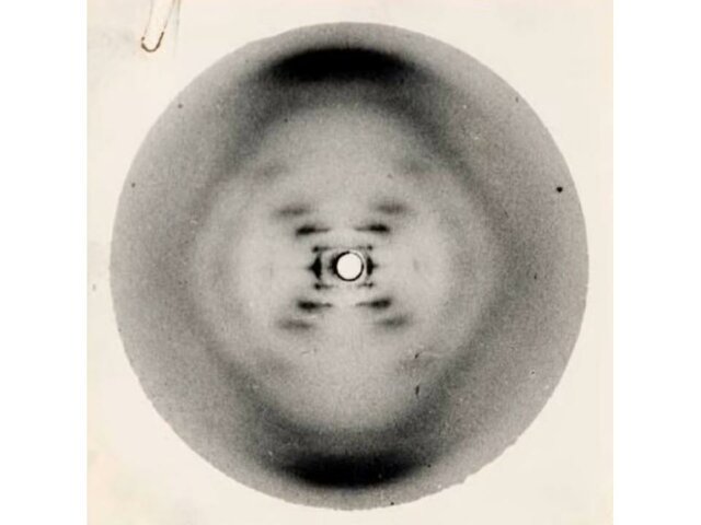 DNA: History and discovery timeline | Timetoast timelines