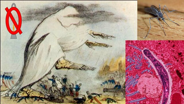 Deimer galvan villamizar_Grupo 11. Origen de las enfermedades basado