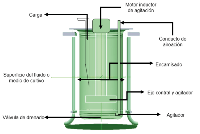 Biorreactores timeline | Timetoast timelines