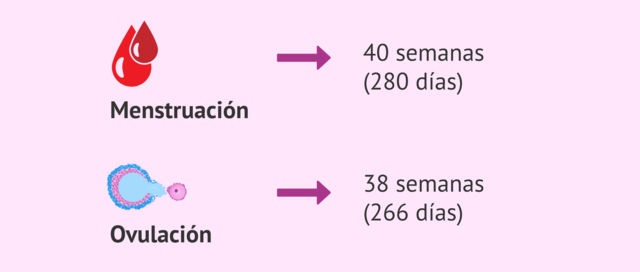 ANTECEDENTES DEL CUIDADO DE LA MUJER timeline | Timetoast timelines