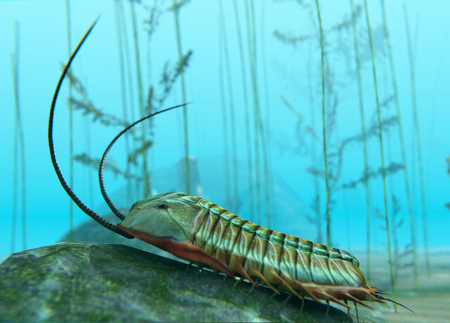 Historia de la tierra timeline | Timetoast timelines