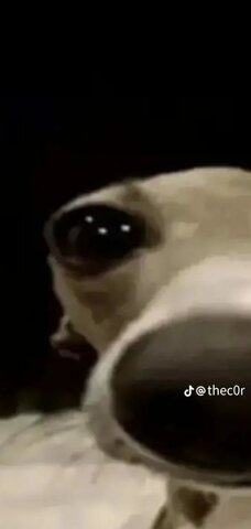 Kambula timeline | Timetoast timelines