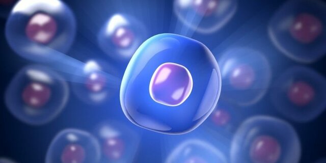 Origen de las primeras células procariotas timeline | Timetoast