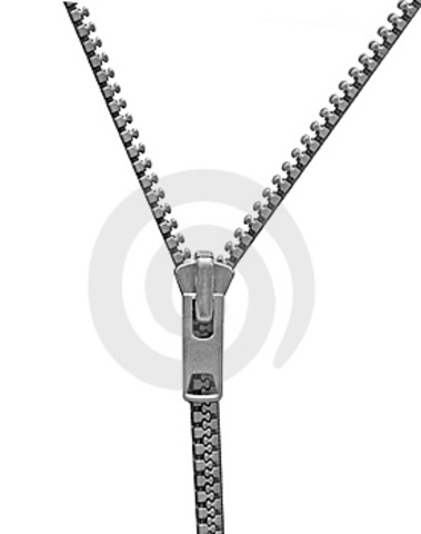 TIMELINE timeline | Timetoast timelines