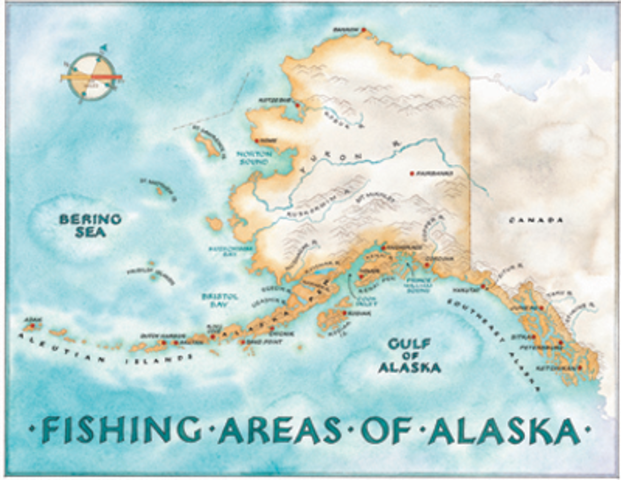 Family History timeline | Timetoast timelines
