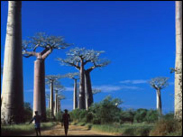 History of Madagascar timeline | Timetoast timelines