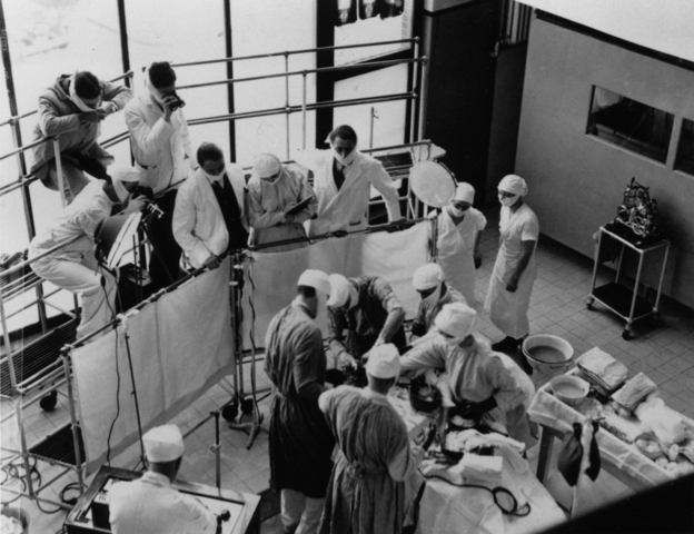 Animal Testing timeline | Timetoast timelines