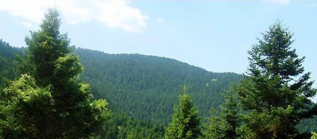 fourna evrytanias timeline | Timetoast timelines